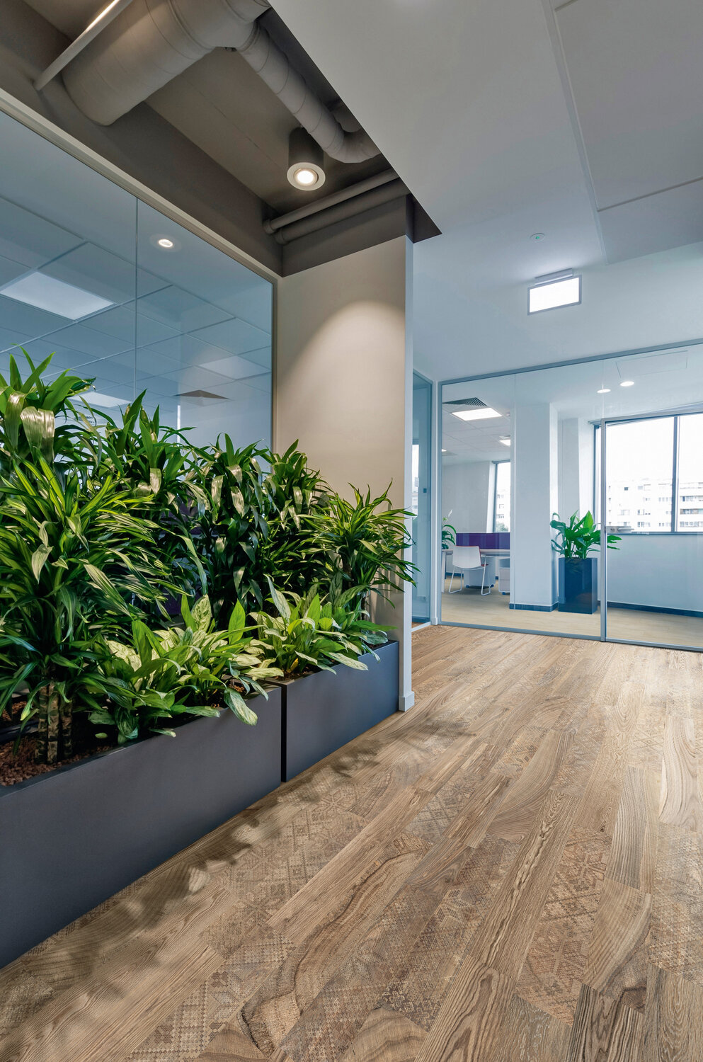 PVC äriruumi Gerflor Taralay Impression Compact 1104 Wood Fusion Nature ...